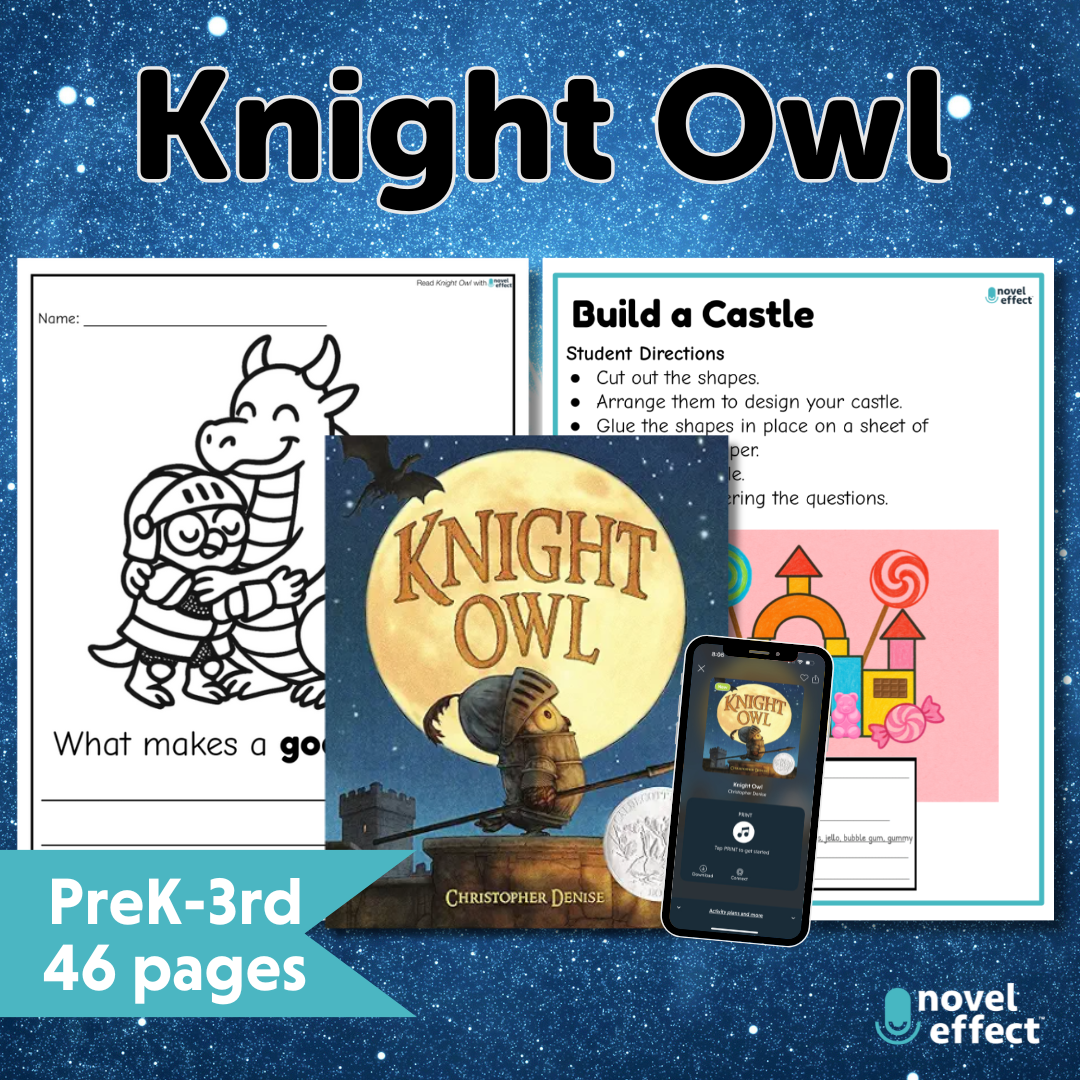 Knight Owl Activities - Novel Effect
